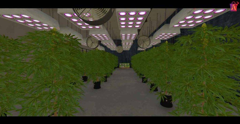 Hi-Men Bar Mlo FiveM | Weed Farm FiveM - FiveM Mlo Store